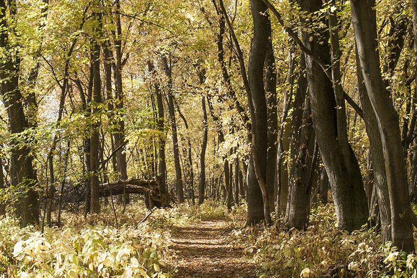 9 sentiers gratuits pour admirer les couleurs d'automne | Salut Bonjour