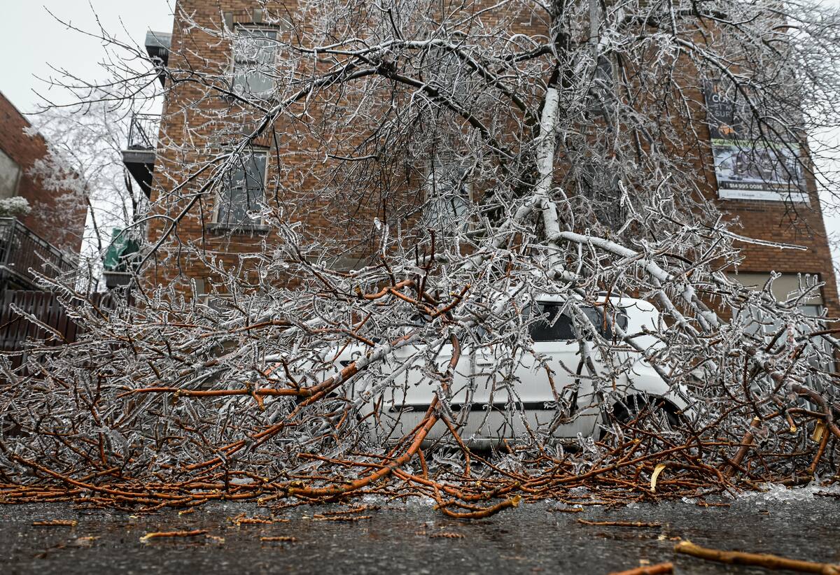 Verglas: les Québécois sont (vraiment) faits forts | JDM