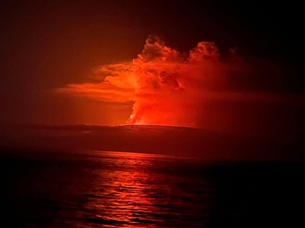 Un volcan entre en éruption sur une île inhabitée des Galapagos | JDQ