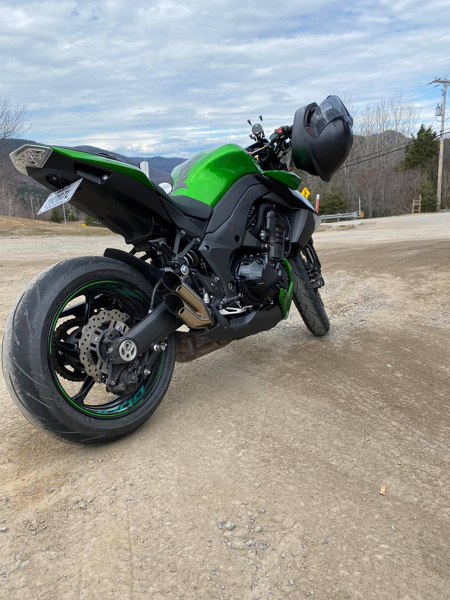 Un jeune homme meurt dans une collision avec un orignal au Lac-Saint-Jean | JDQ