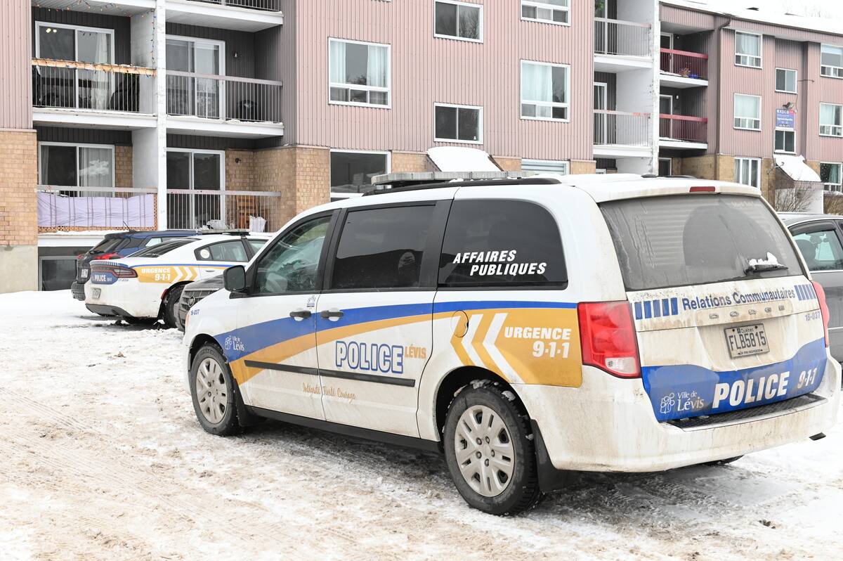 Guerre entre motards et gangs de rue: un objet possiblement explosif ...