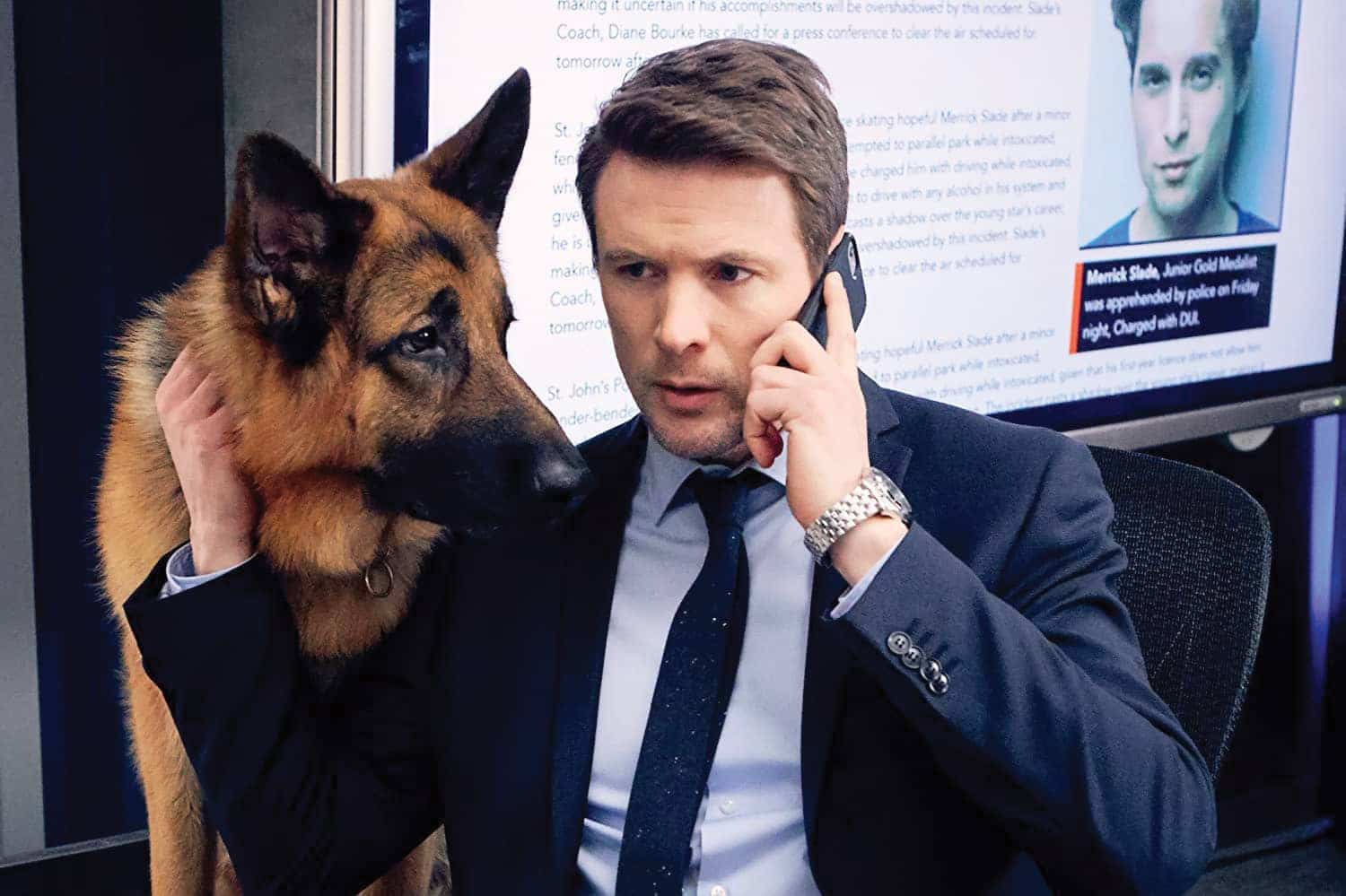 Voici notre palmarès des 10 chiens les plus marquants de la télé | 7 Jours