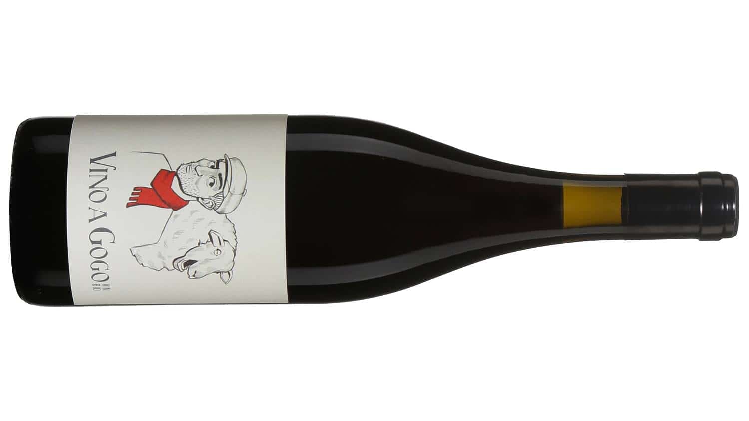 Les 50 meilleurs vins à moins de 20$ | JDM