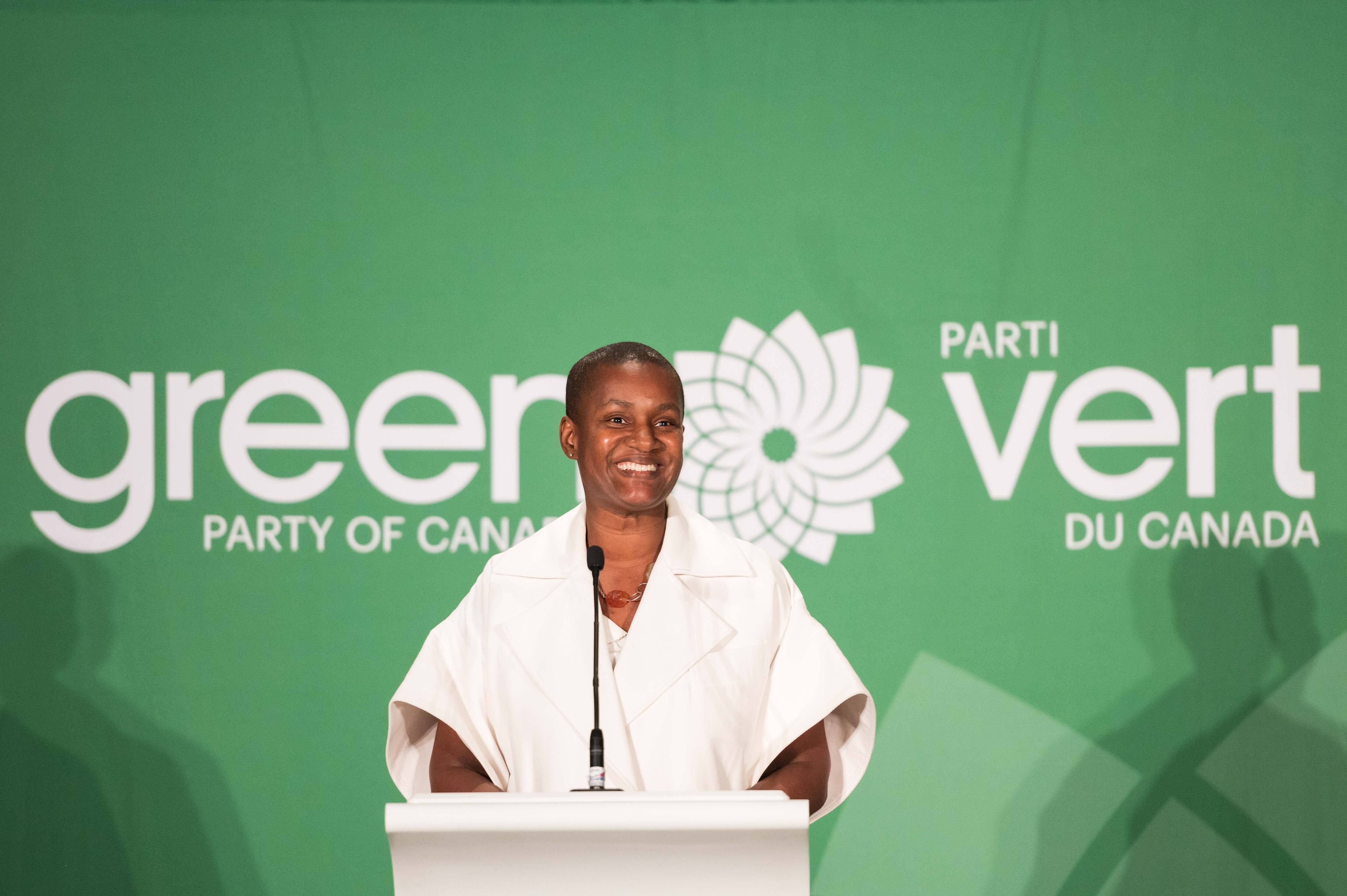 Affaire Amir Attaran: la cheffe du Parti vert dénonce à son tour | JDQ