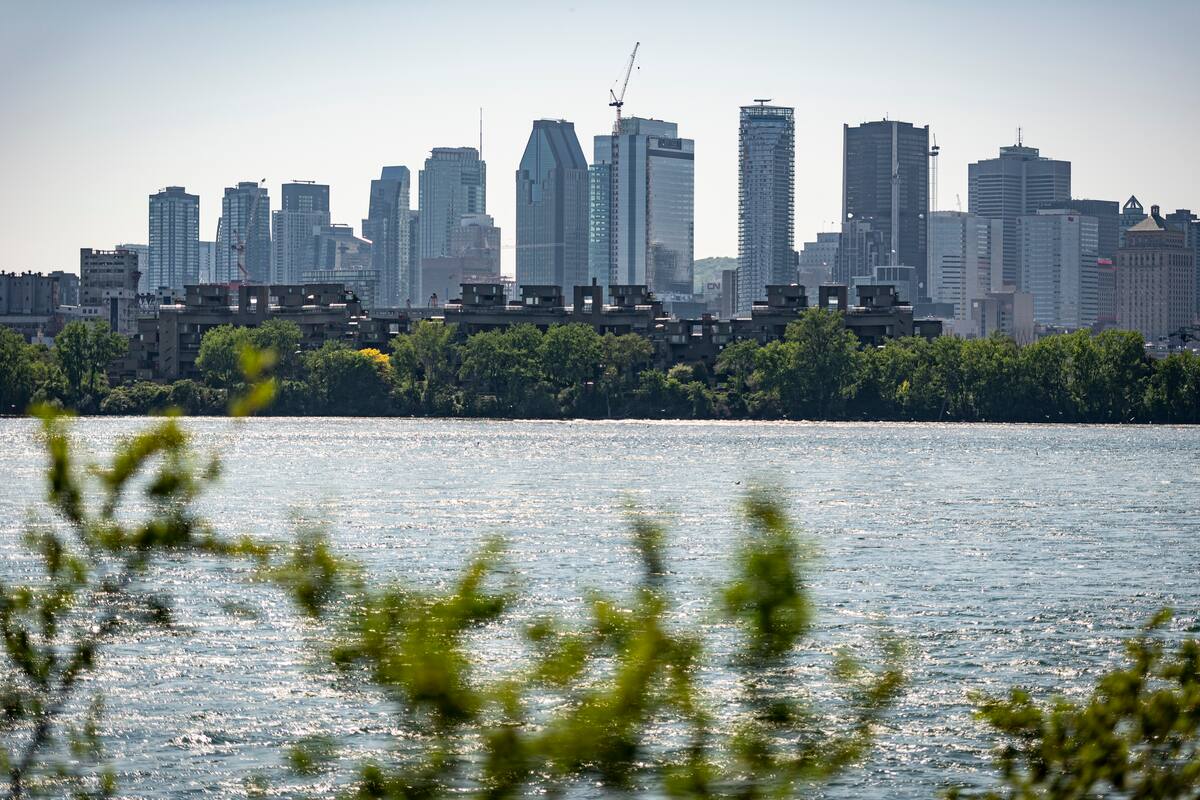 Expo «Le Montréal du futur»: rêver au Montréal de demain | TVA Nouvelles