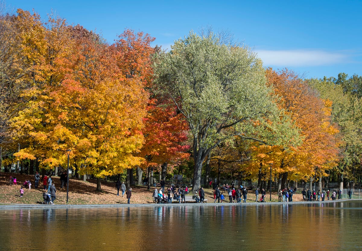 Météo: l’automne s’annonce chaud et riche en couleurs | JDM