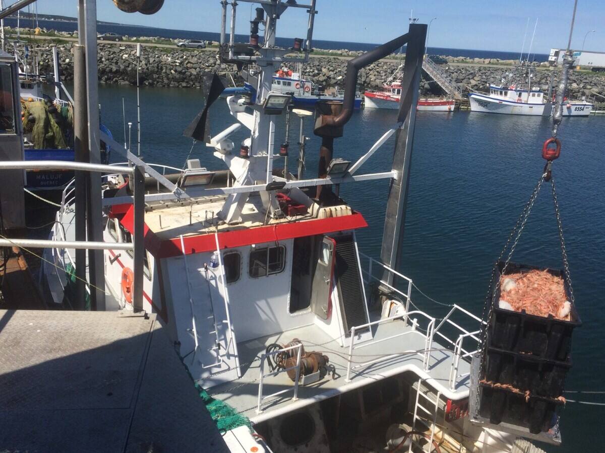 La vérité, toute la vérité et rien que la vérité sur la crevette de ...