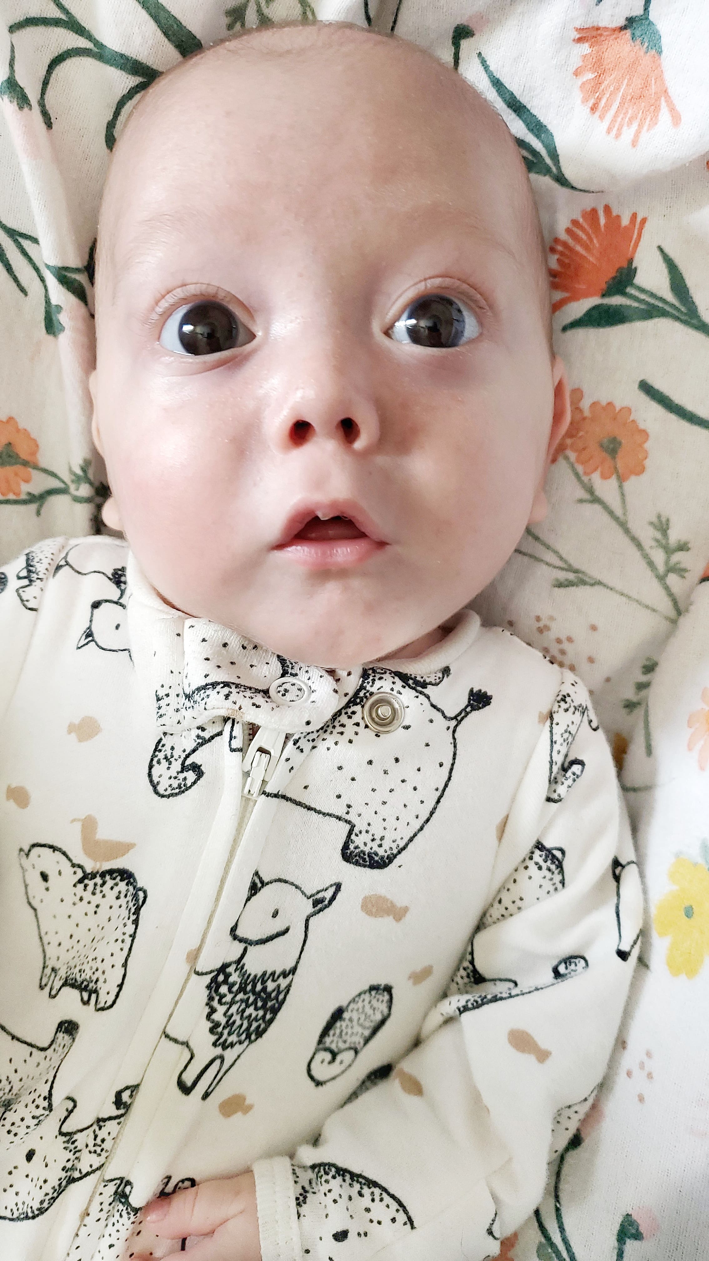 Elisabetta Fantone se confie sur la naissance prématurée de son bébé et ...