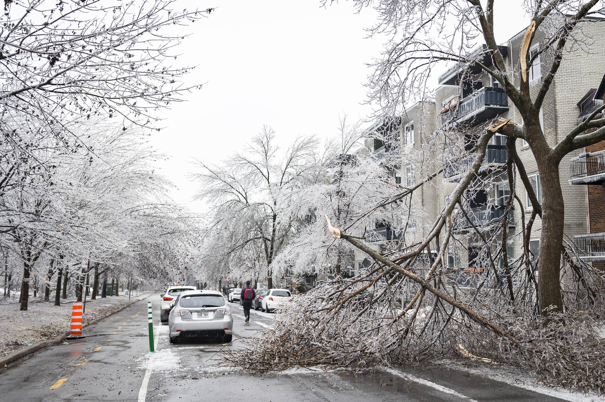 Verglas: à qui peut-on réclamer de l’argent si on perd le contenu de ...