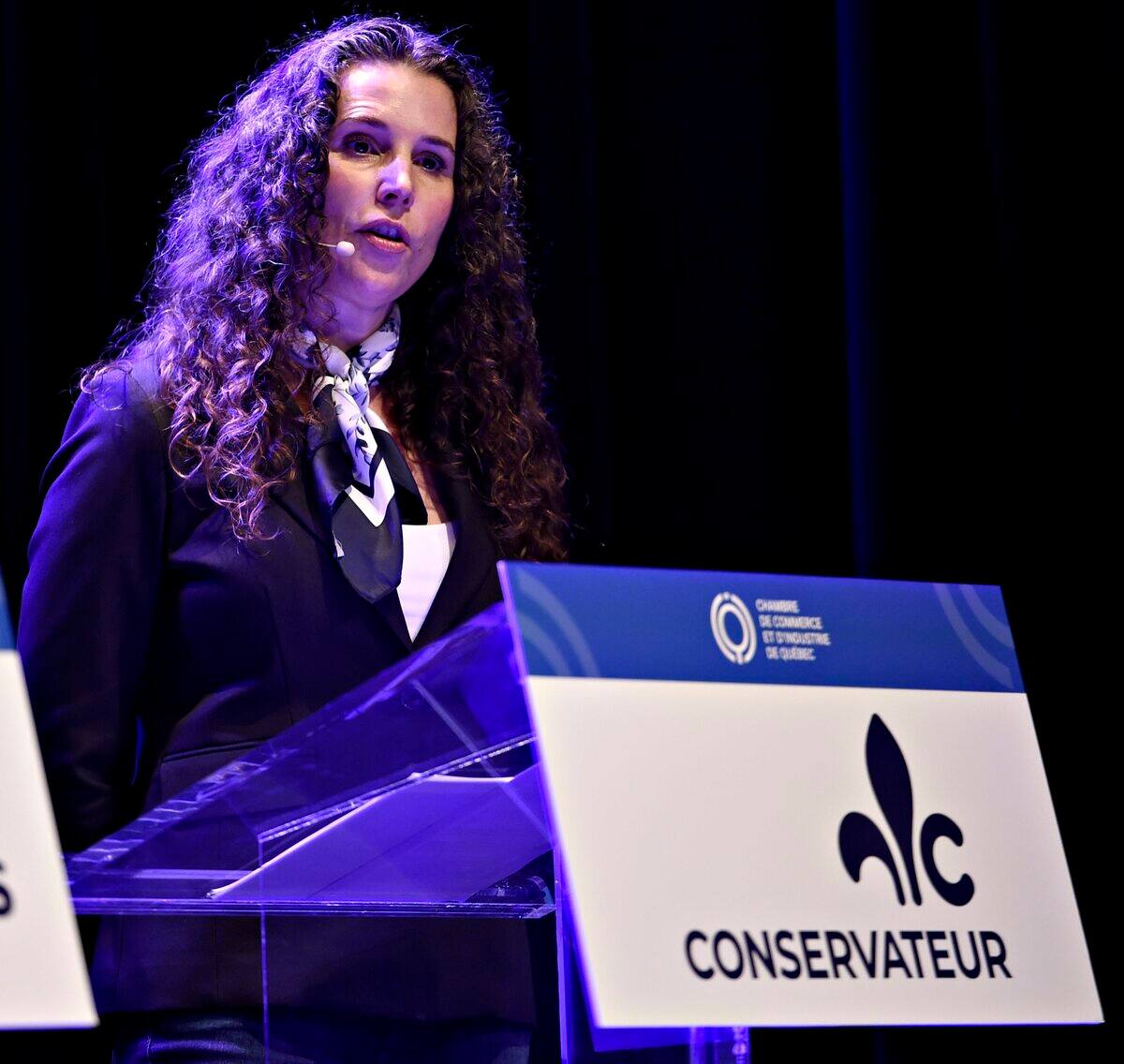 3e lien : la déclaration d’une candidate du PCQ dénoncée | TVA Nouvelles