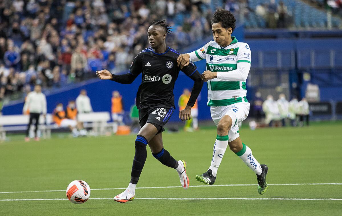 Ismaël Koné toujours dans les plans de Sheffield? | JDQ