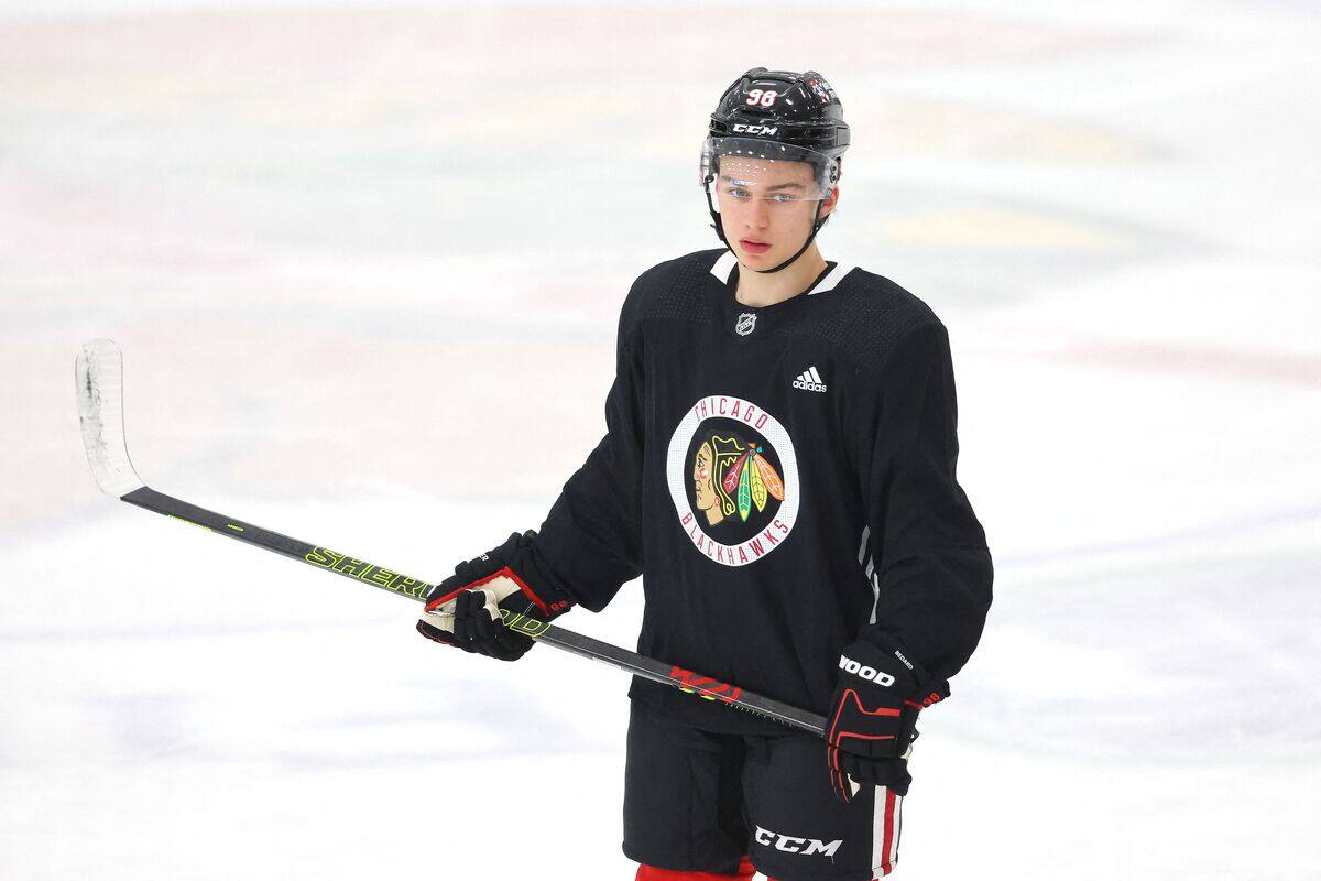 Une prédiction très osée de Matthews sur Bedard | JDM