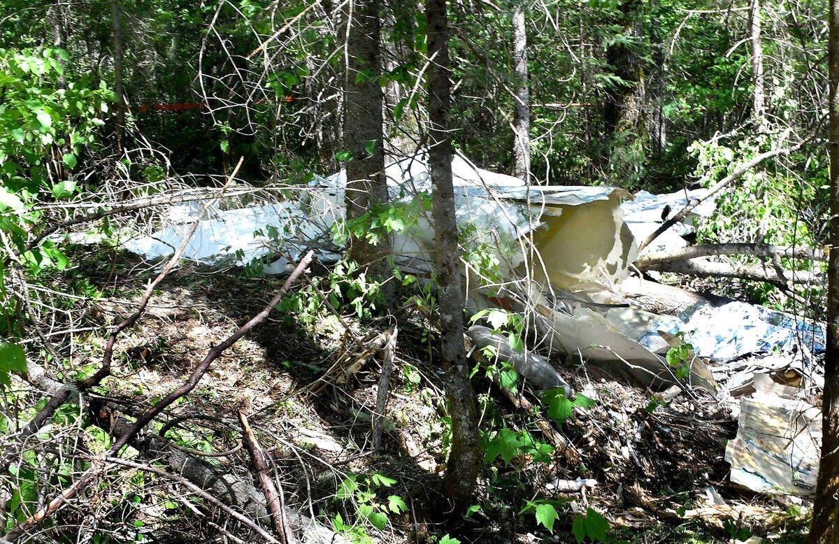 Écrasement d’avion de Saint-Fulgence : l’identité du pilote a été ...