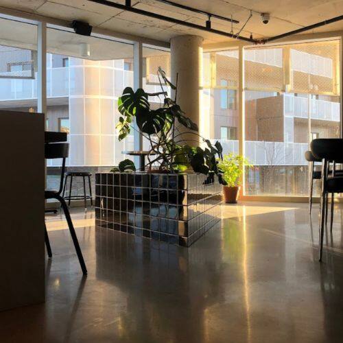 Café Kujira: le nouveau café des Shop Angus où se poser pour travailler ...
