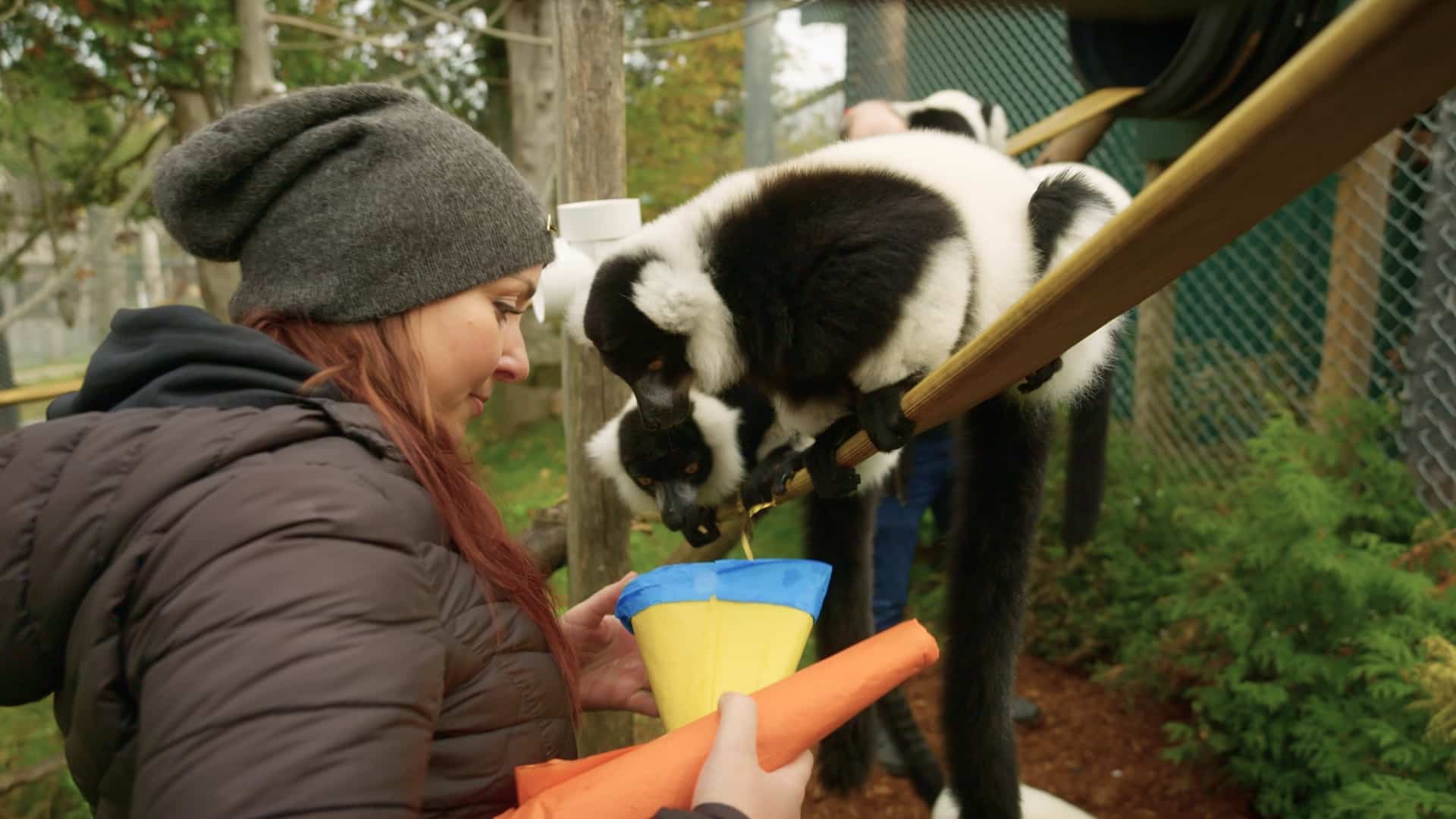 Une nouvelle saison pour Un zoo pas comme les autres | 7 Jours
