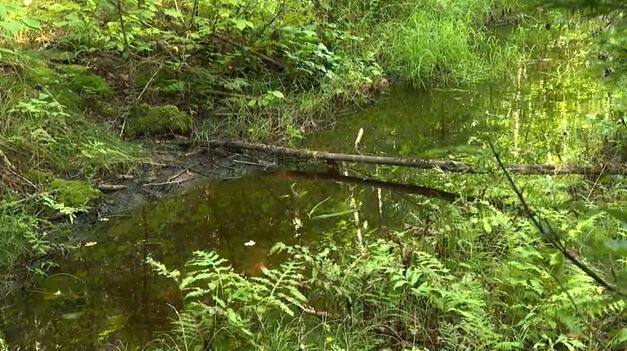 Un ponceau bouché endommage leur terrain depuis des années | TVA ...