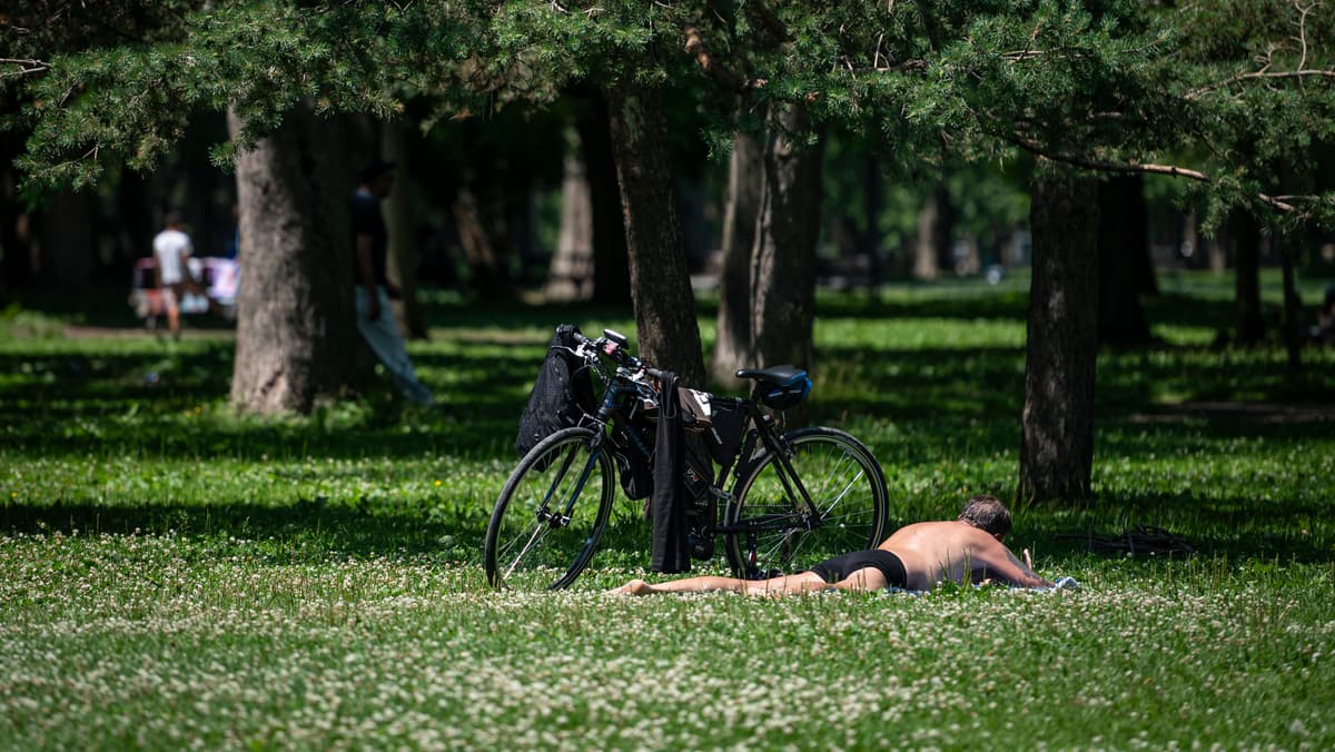 Le Seuil De 1 5°c De Réchauffement De La Planète Pourrait être Franchi