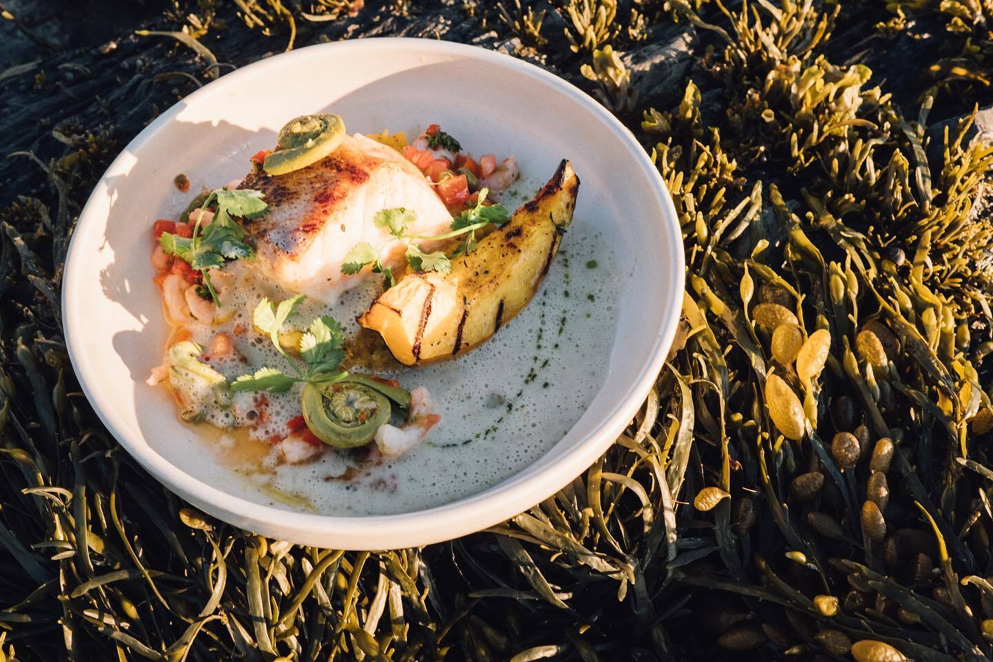 Les 15 meilleurs restaurants à essayer à Rivière-du-Loup et les ...