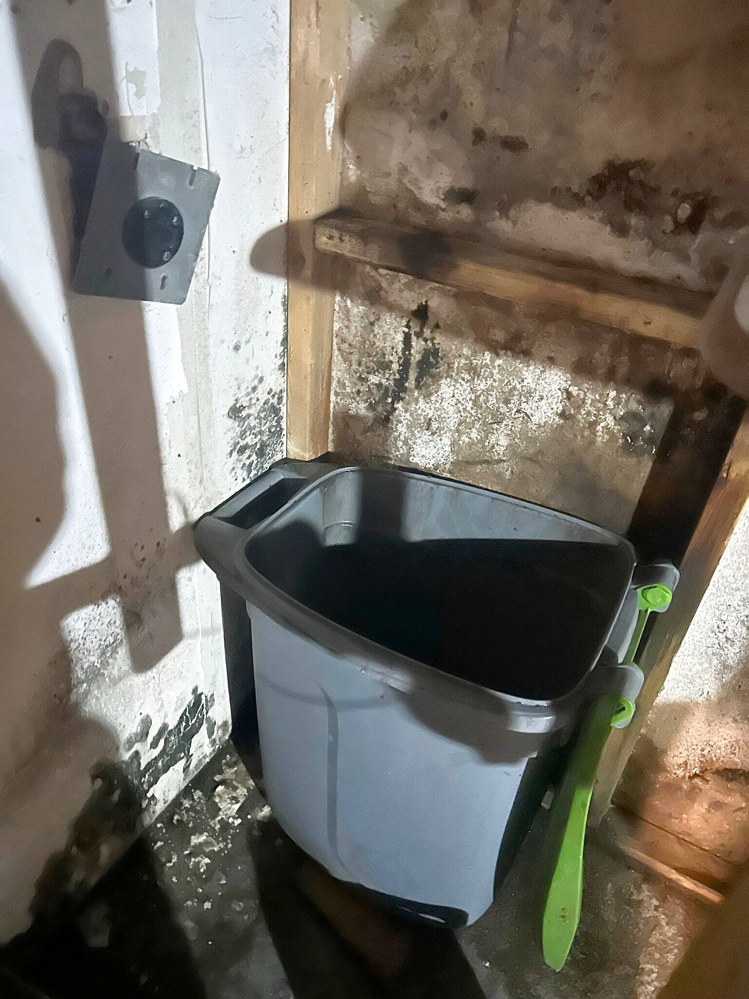 [PHOTOS] Chauffage défaillant, moisissure, plancher gondolé: son ...