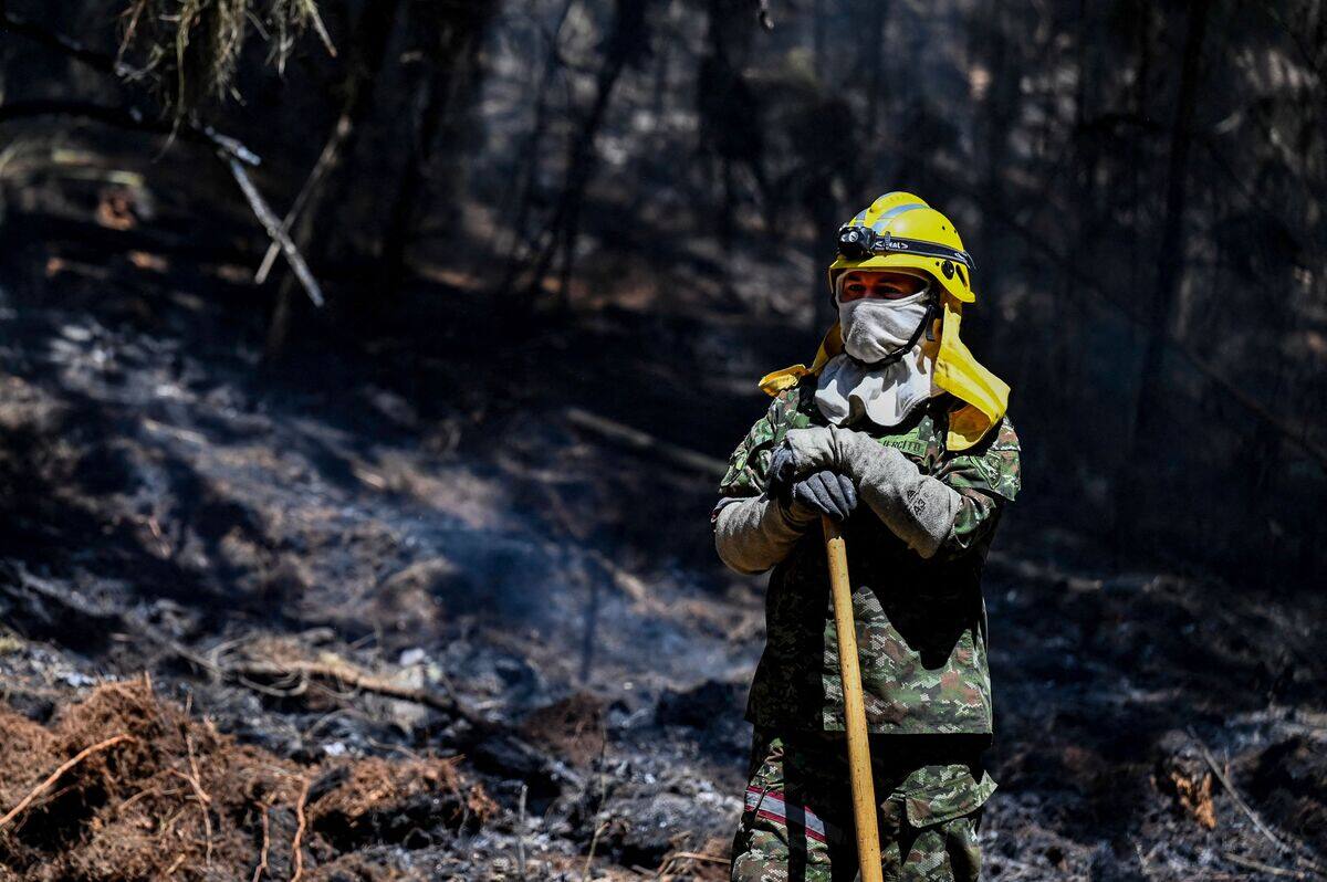Les incendies en Colombie ont déjà détruit 172 km2 de forêts | JDM