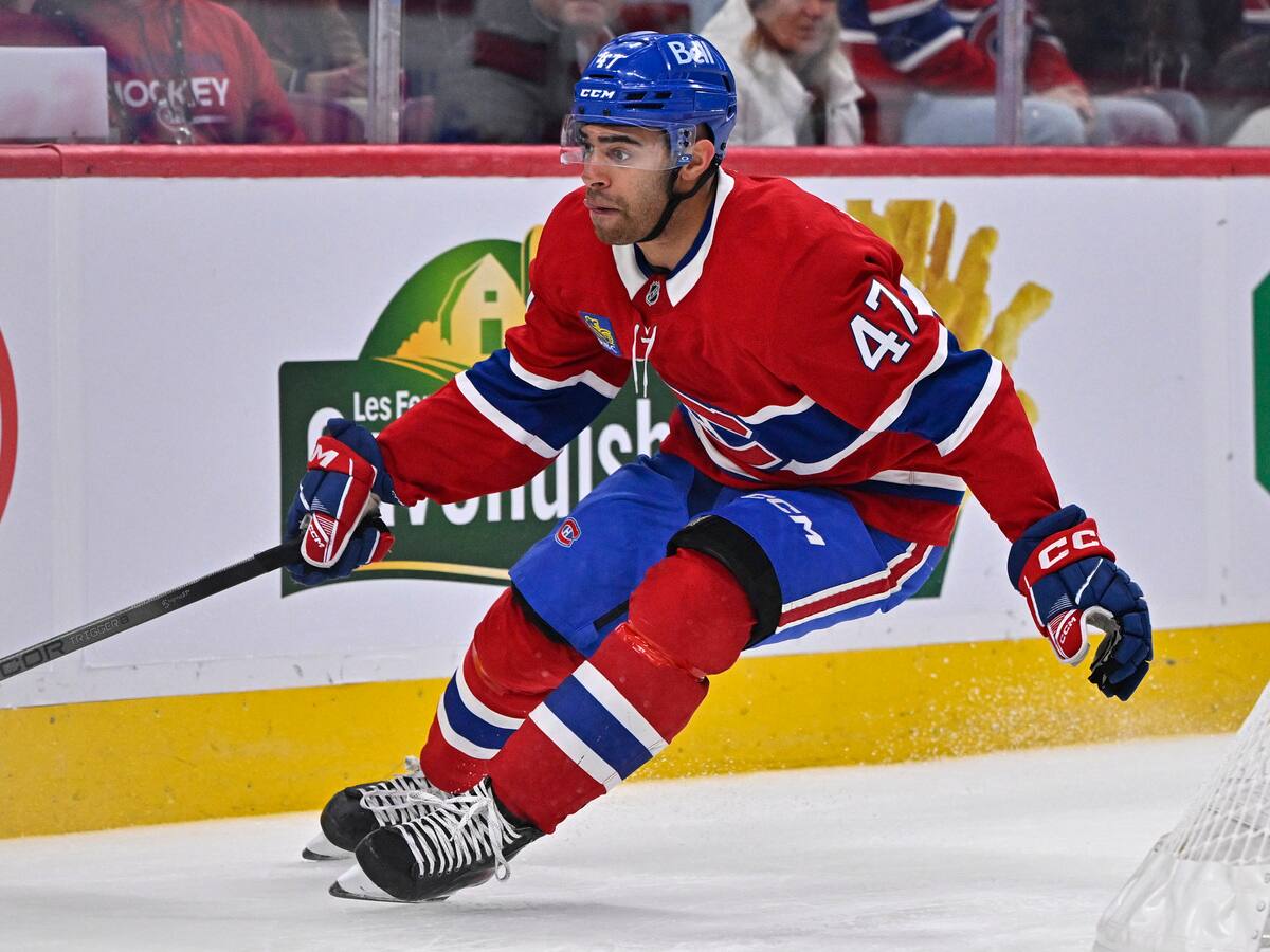 En invitant Nikita Zadorov à se battre, Jayden Struble voulait ...