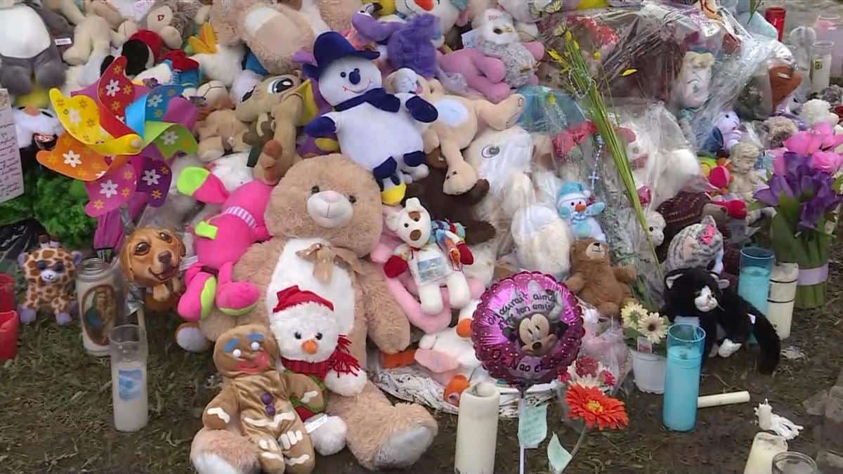 La fillette de Granby, un autre symptôme de ce qui cloche au Québec | JDQ