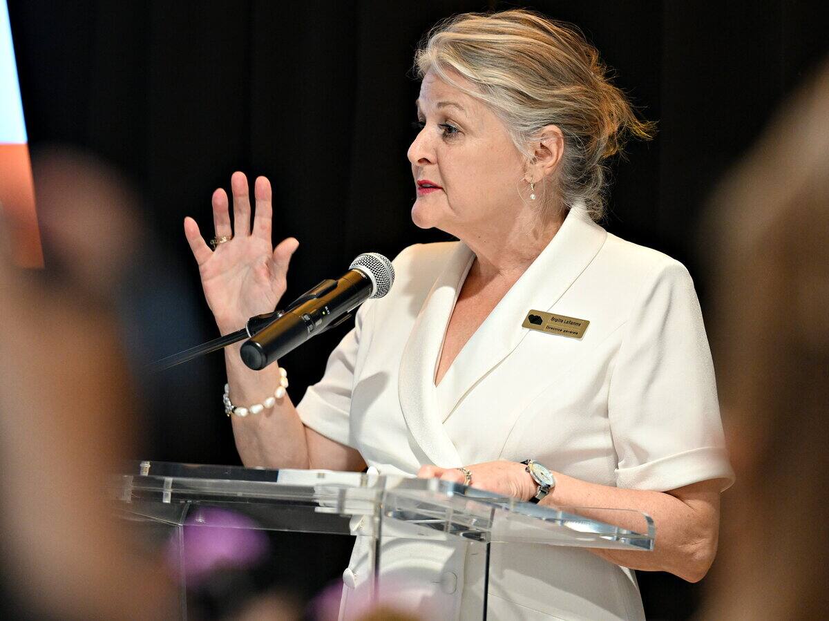 Maison Michel-Sarrazin: des travaux qui amélioreront grandement la ...