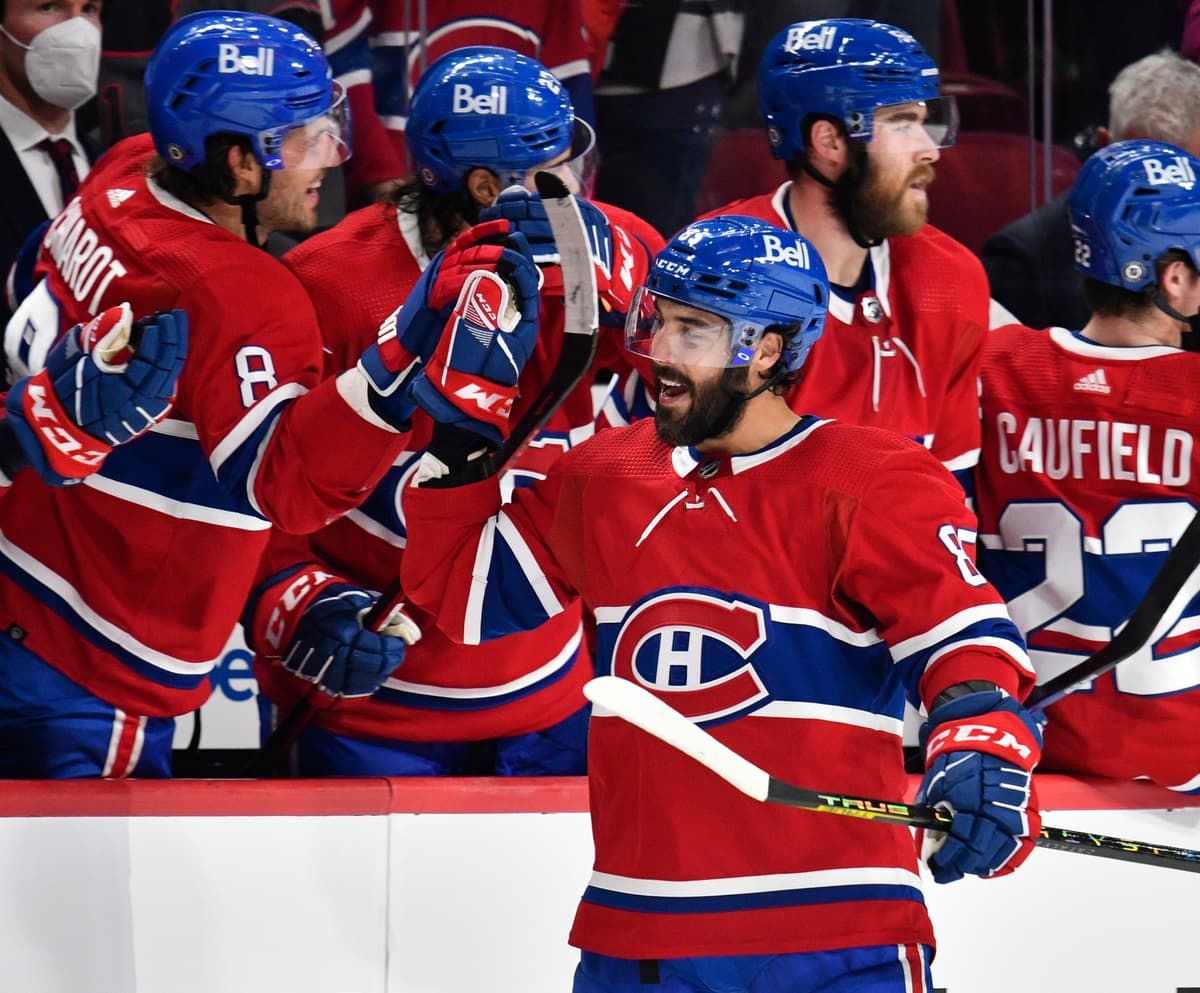 A dream that flees for Mathieu Perreault - Archyde