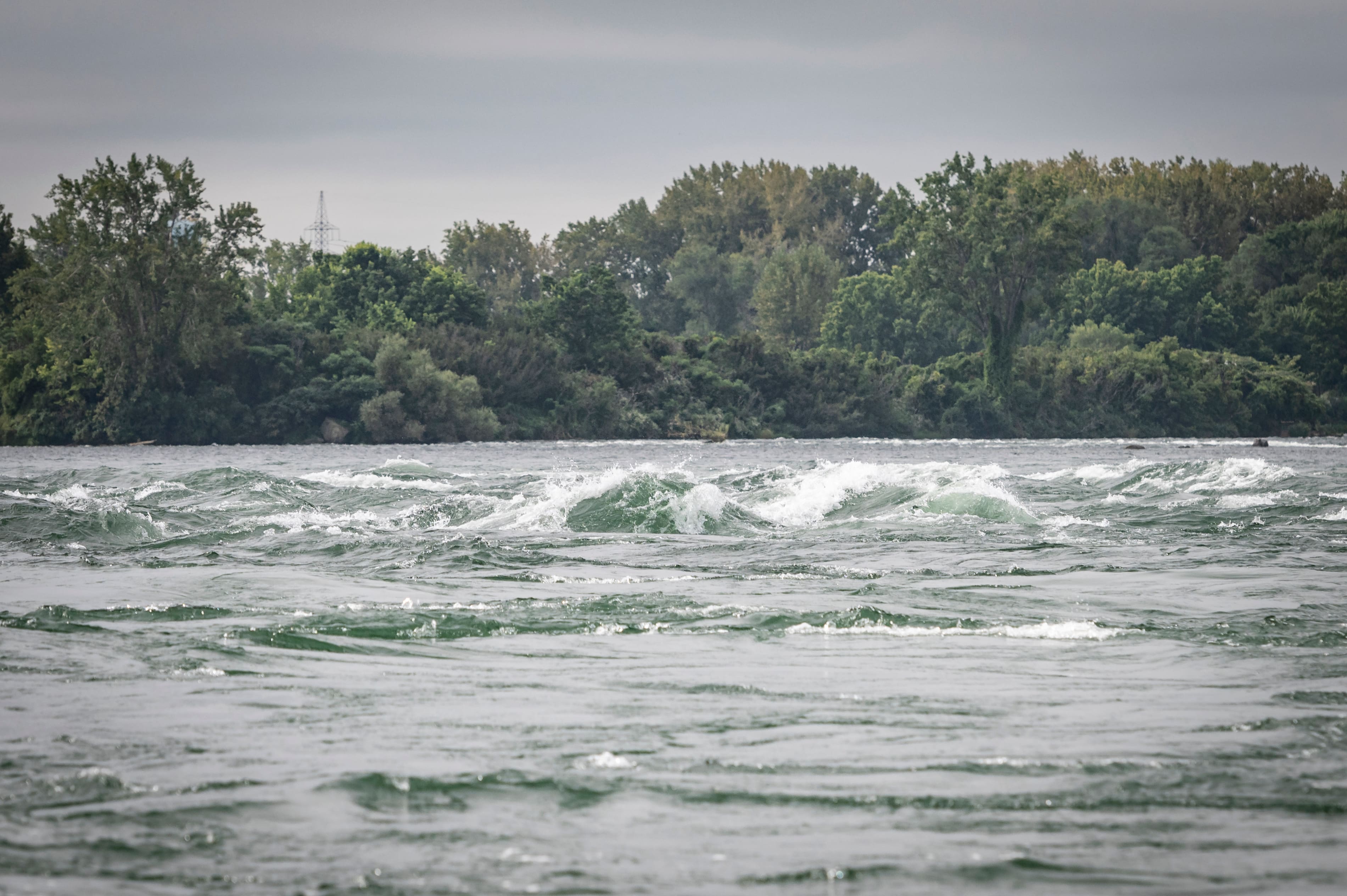 Espèces exotiques envahissantes en milieu aquatique: les Québécois ...