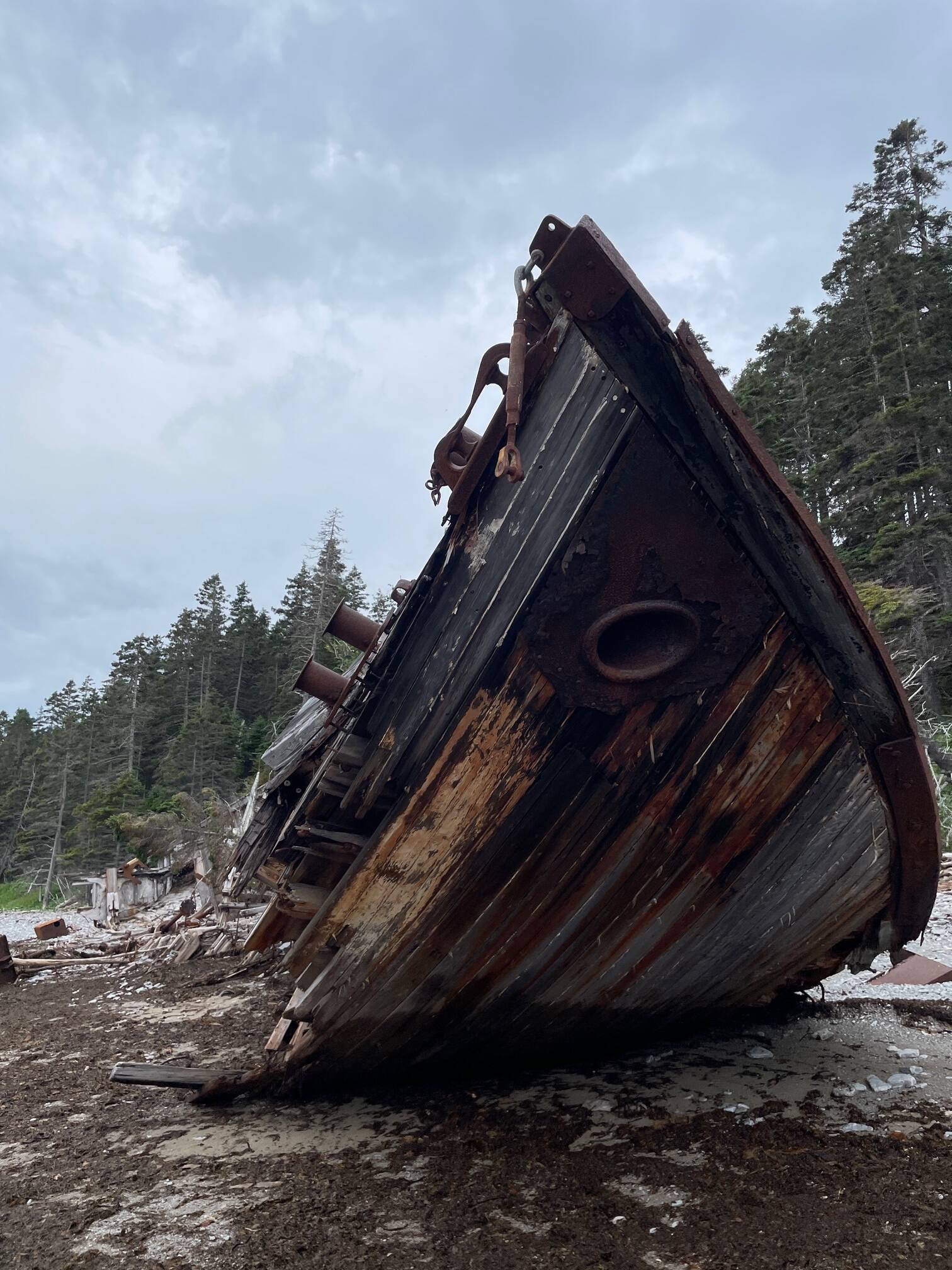 «Anticosti 450 millions d’années de vie»: un livre-lettre d’amour à un ...
