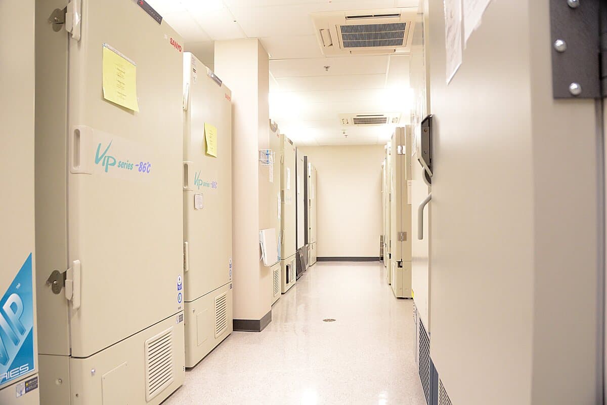 Cancer pulmonaire: la recherche à l’IUCPQ freinée par Optilab, selon ...