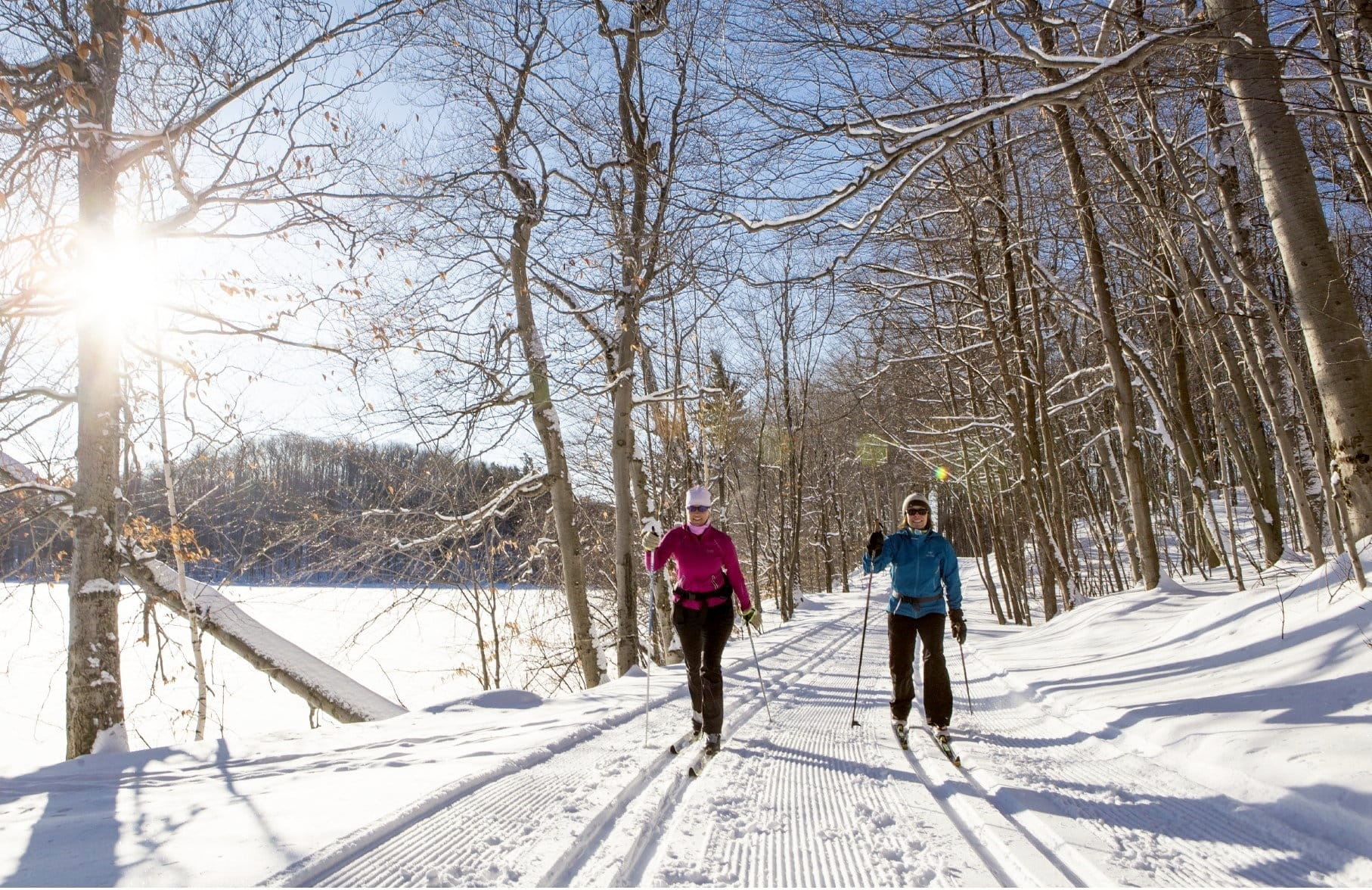 Le parc national du Mont-Saint-Bruno, le plus fréquenté au Québec | JDM
