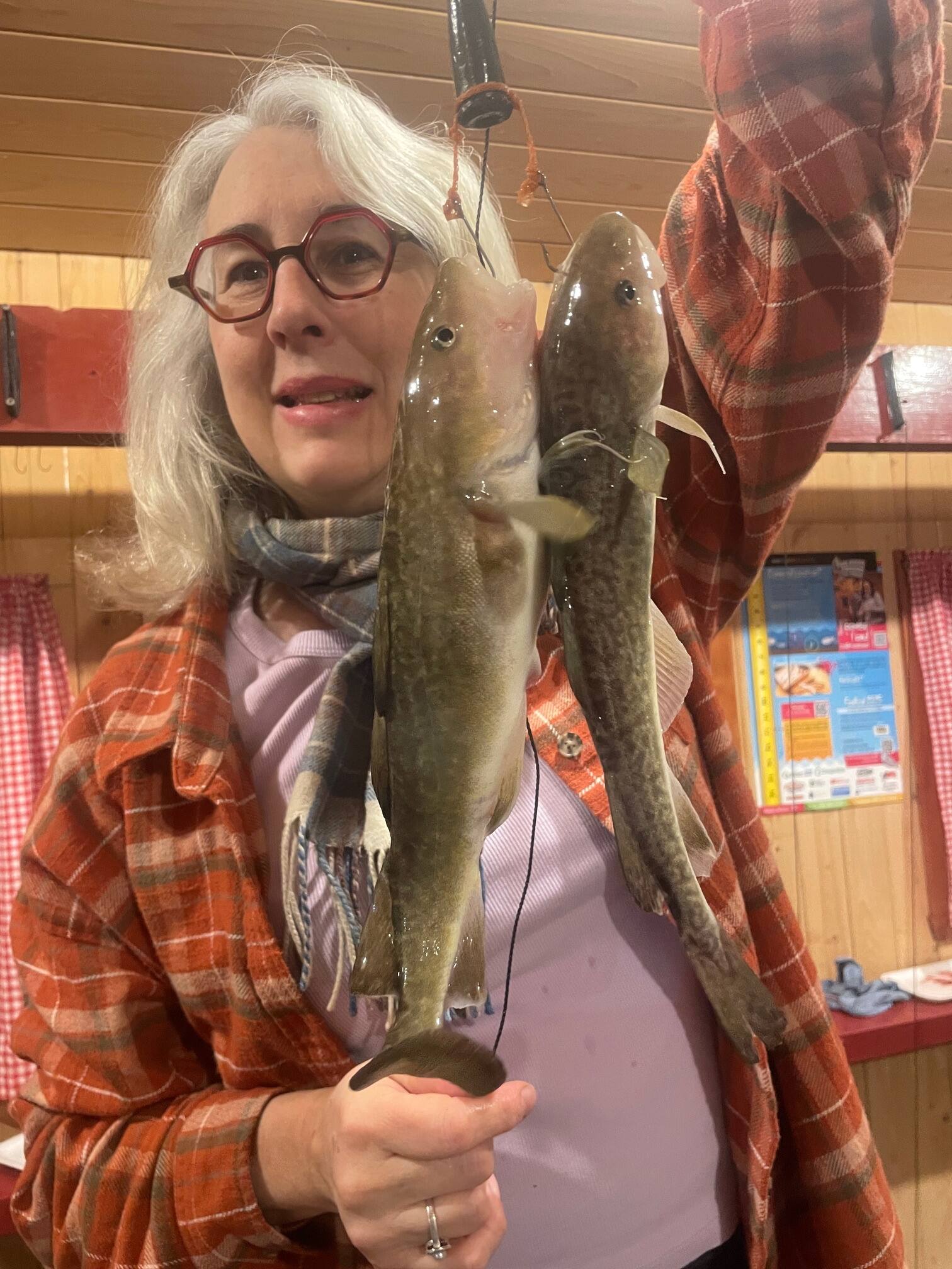 Des menaces planent sur les petits poissons des chenaux | JDM