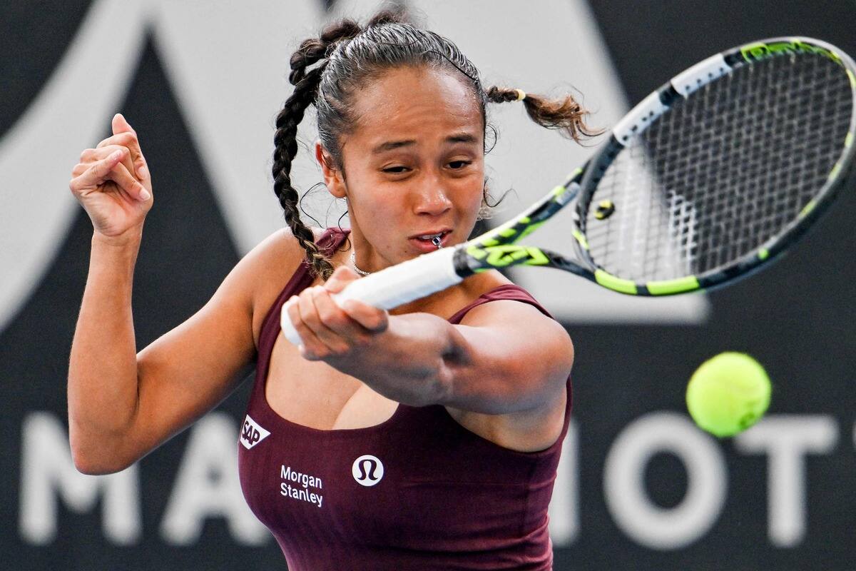 Les tableaux de Leylah Fernandez, Félix Auger-Aliassime, Gabriel Diallo ...