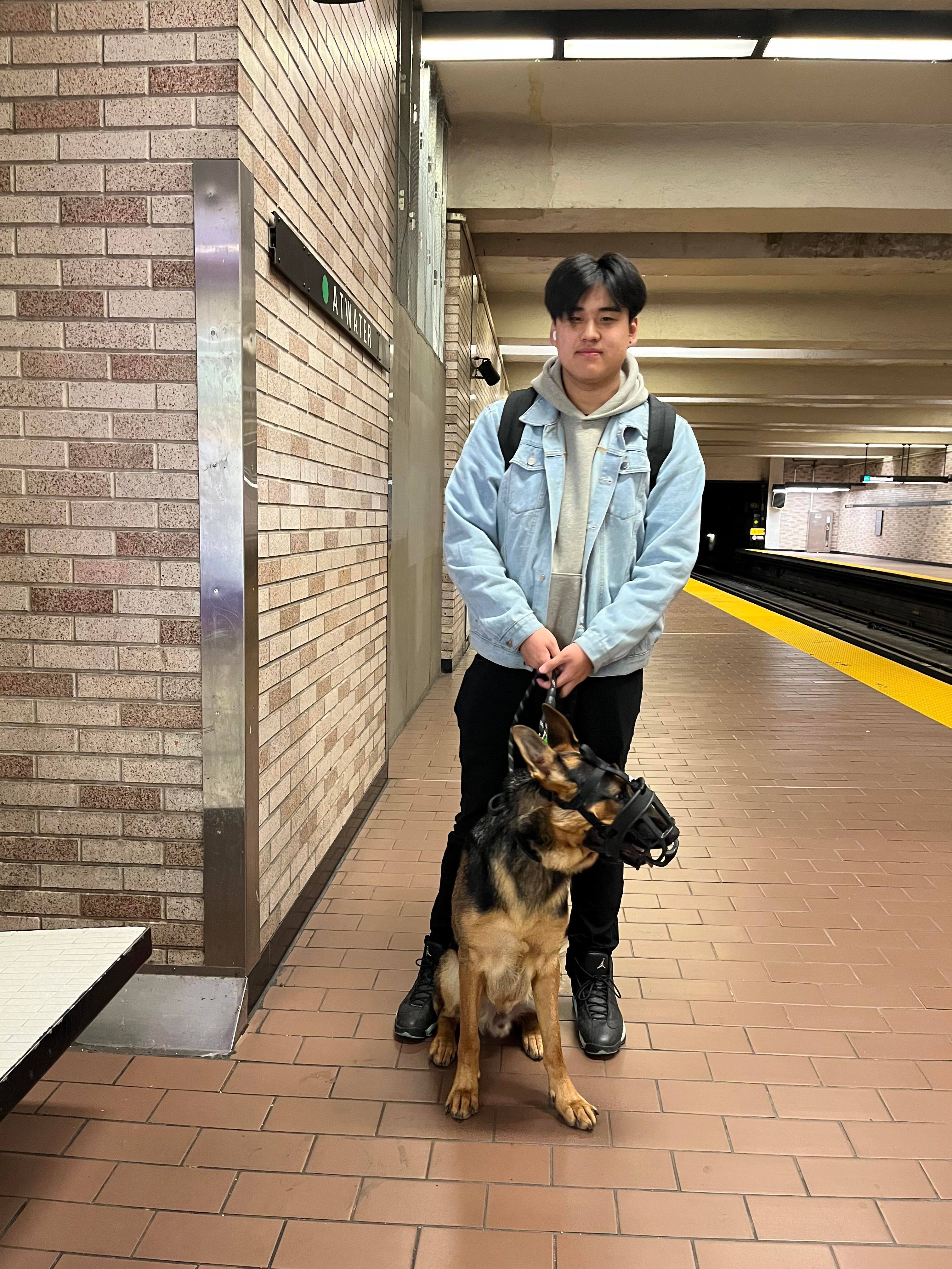 Les chiens débarquent dans le métro de Montréal | 24 heures