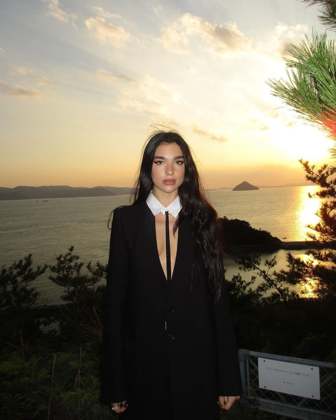 Dua Lipa porte une robe 100% transparente avec des cache-mamelons ...