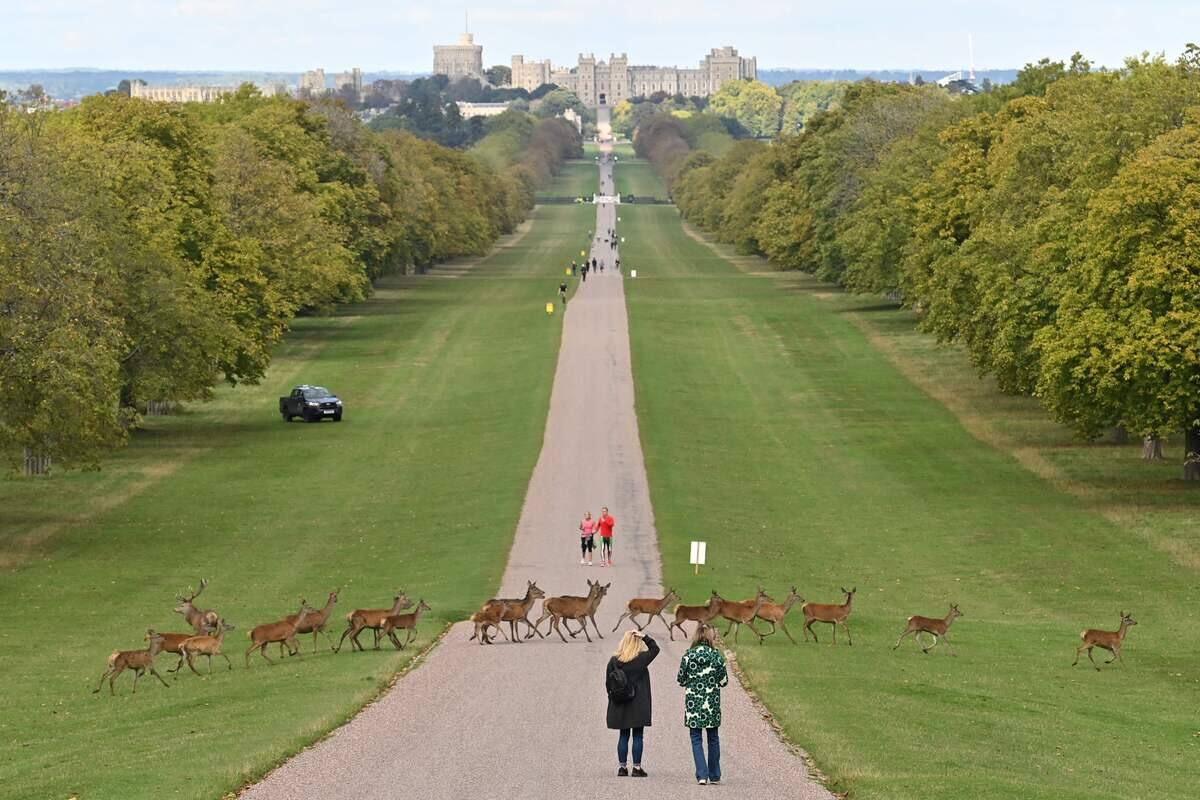 À Windsor, les visiteurs émus se pressent devant la sépulture d ...