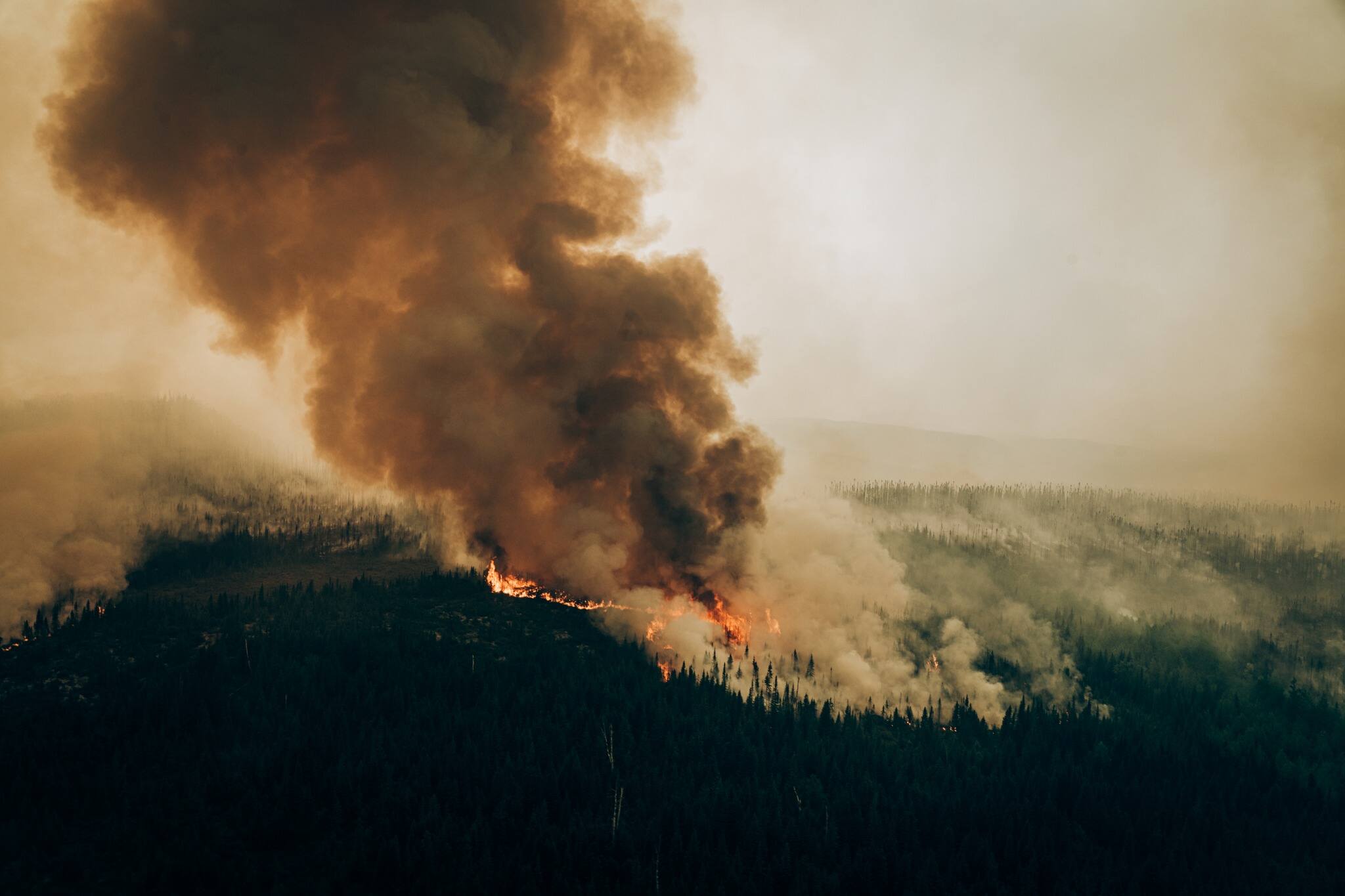 Affaire Brian Paré: les dessous d’une folie incendiaire inédite | JDQ