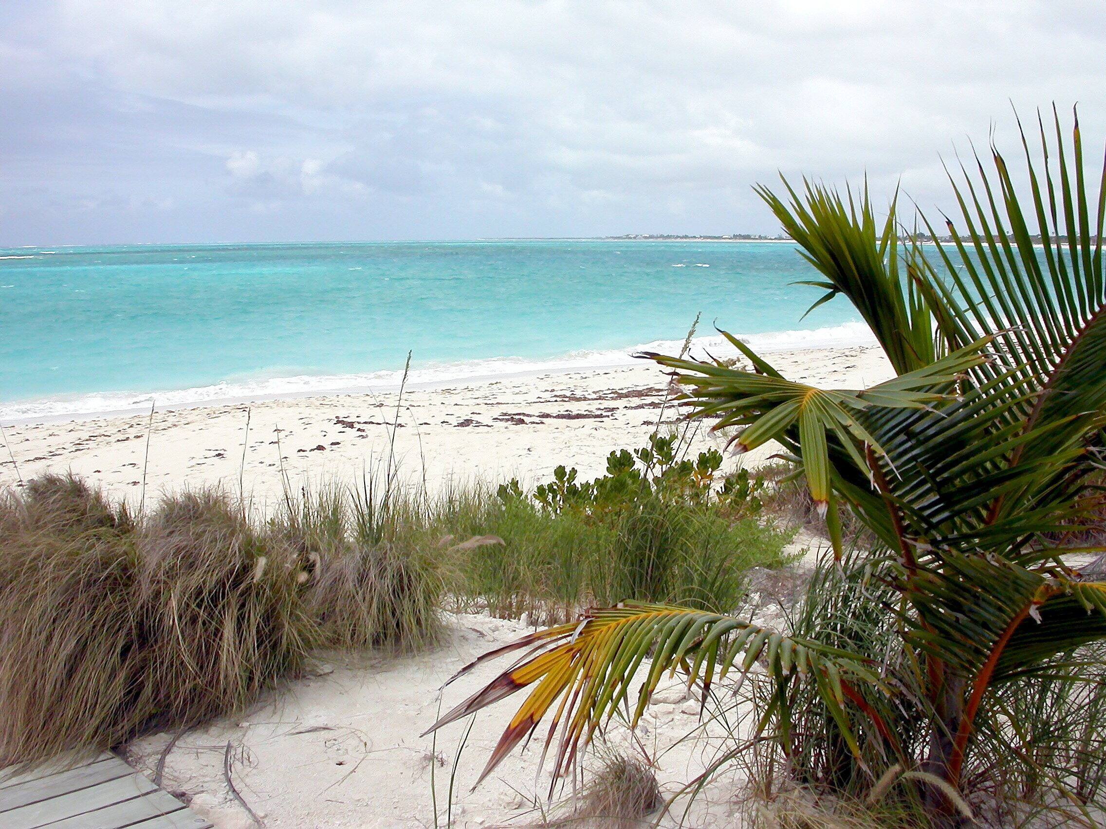 Ses mains arrachées par un requin: son conjoint déplore les fausses informations qui circulent ...