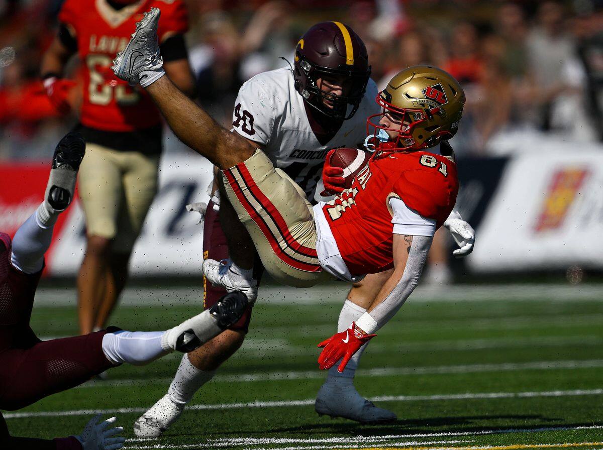 Demi-finale du RSEQ: les Carabins ne prennent pas les Stingers de haut ...