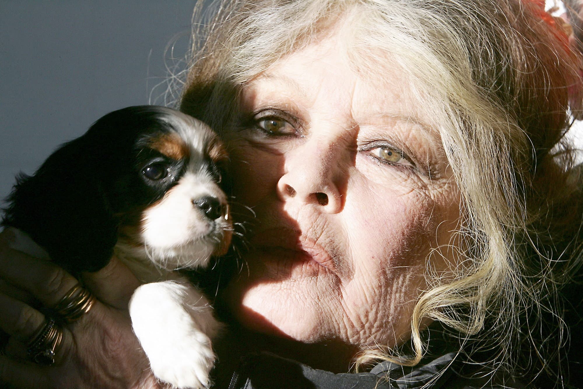 Brigitte Bardot en cinq rôles | Le Journal de Montréal