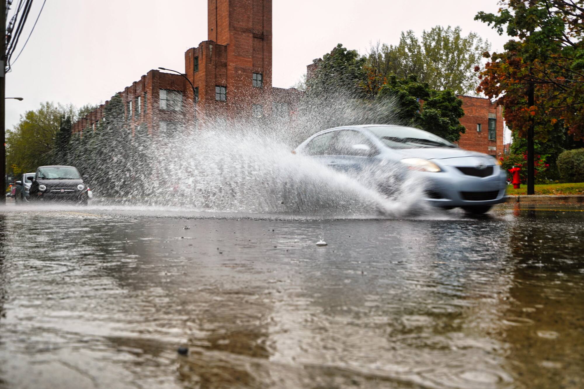 [EN IMAGES] Fortes pluies cette fin de semaine: Montréal a déjà reçu ...