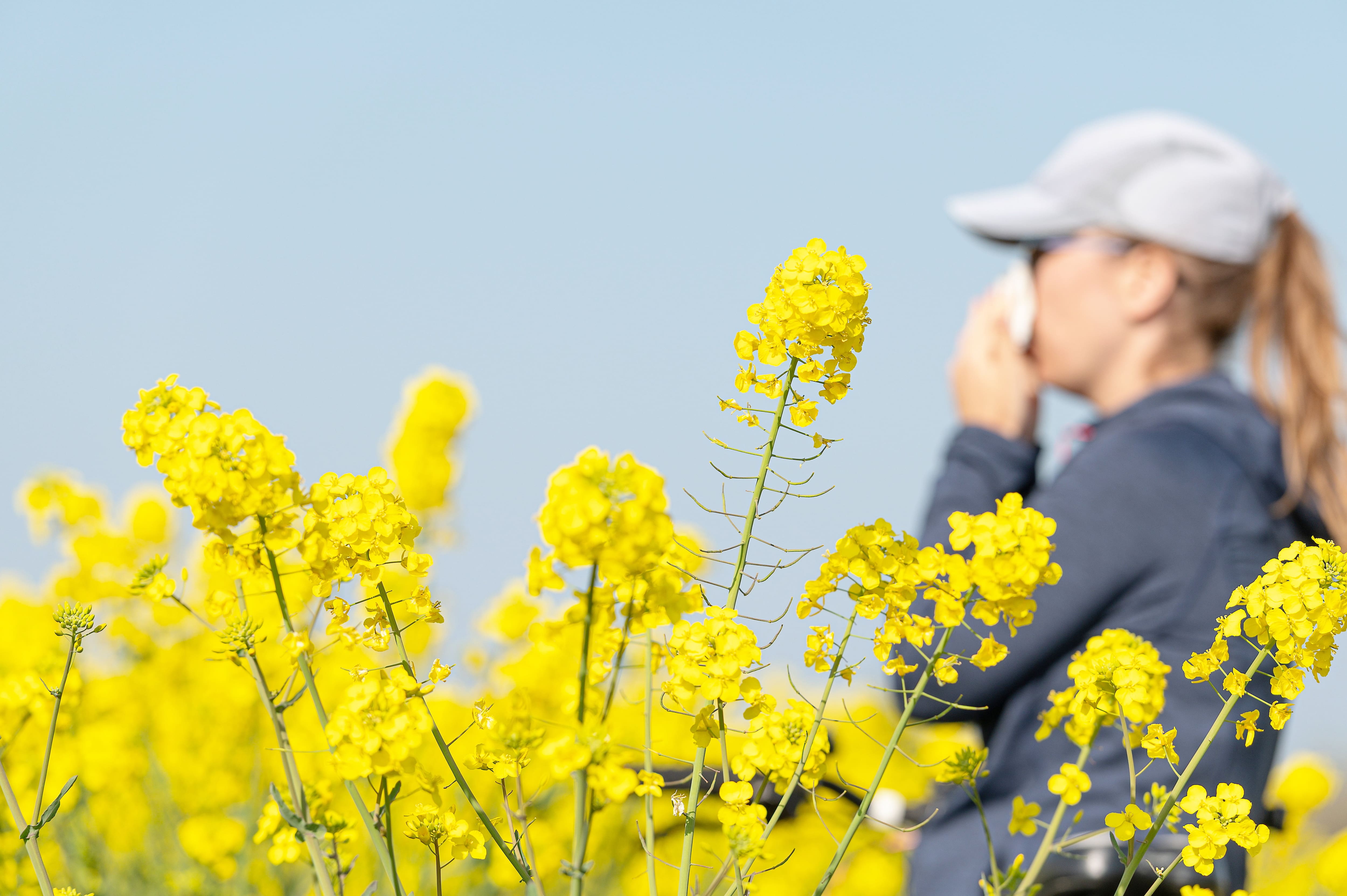 La saison du pollen est plus intense... mais n'a aucun rapport avec ces ...