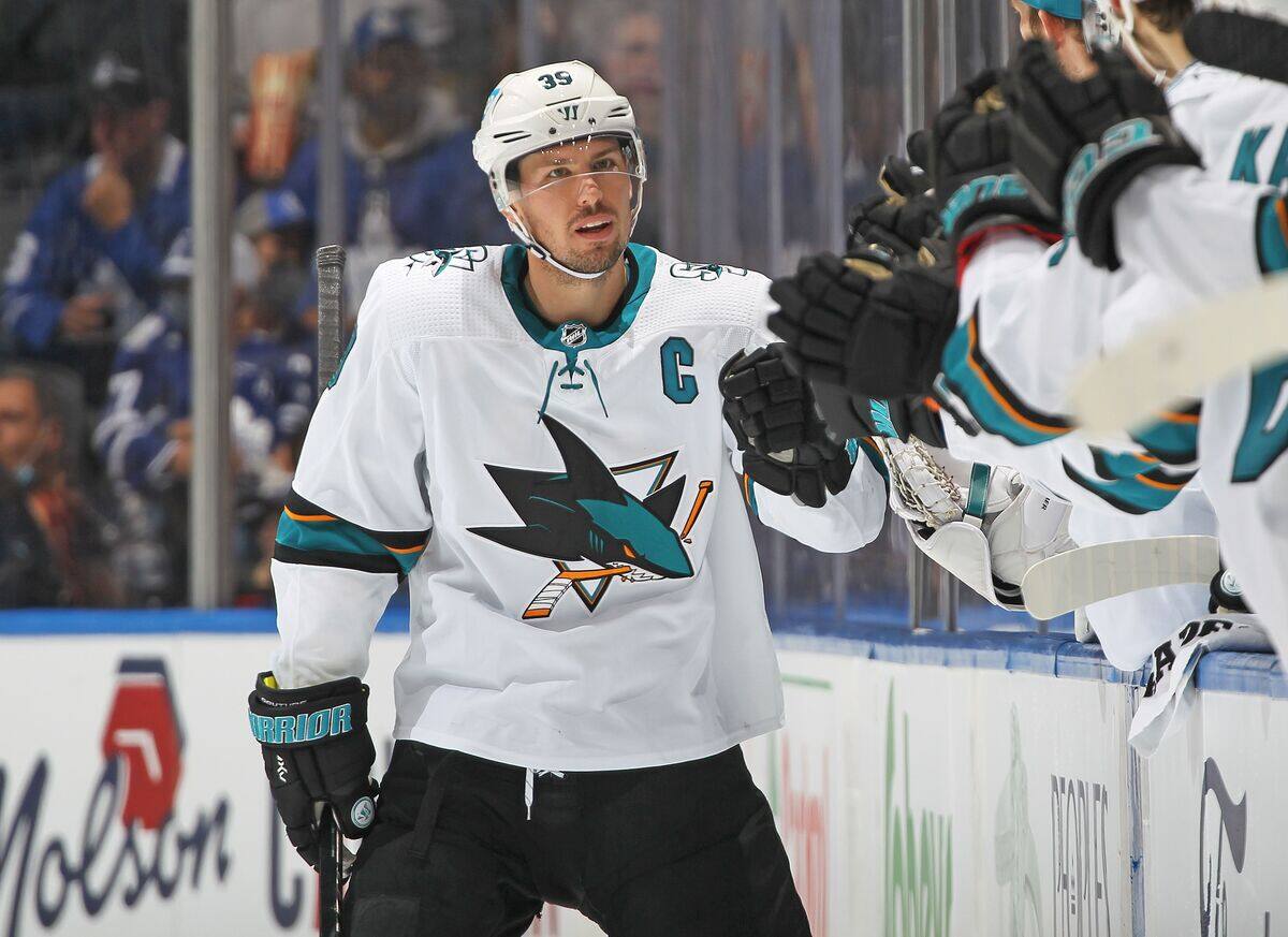 Les Sharks poursuivent leur parcours sans faute | JDQ