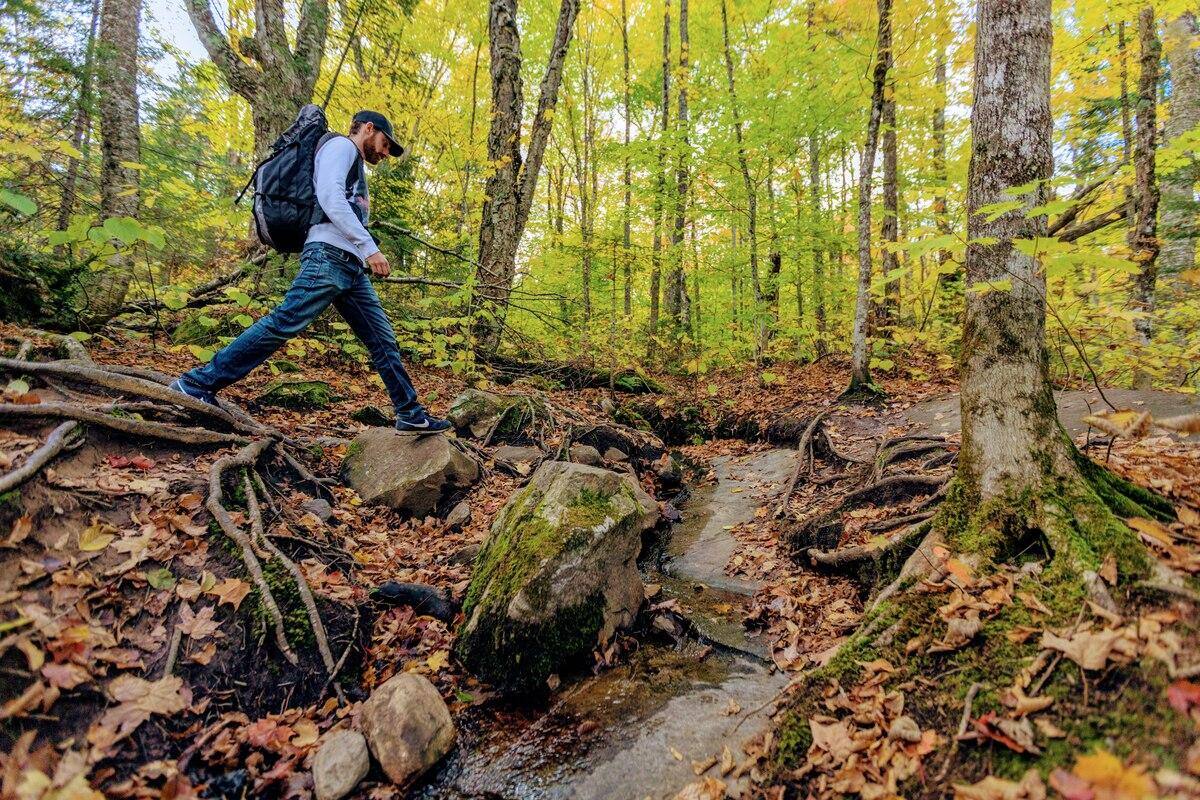 Les sentiers plus populaires que jamais au pays | TVA Nouvelles