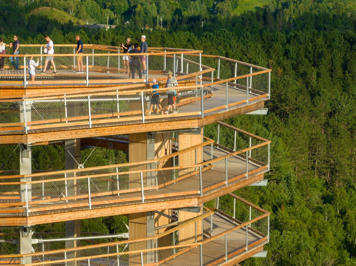 Laurentides: un sentier aérien en forêt et une tour de 12 étages pour ...