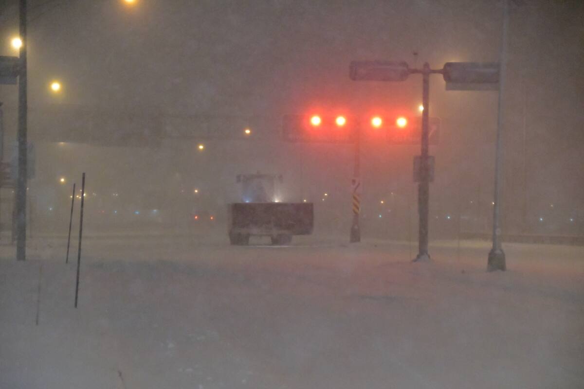 Tempête de neige intense dans l’est du Québec | TVA Nouvelles