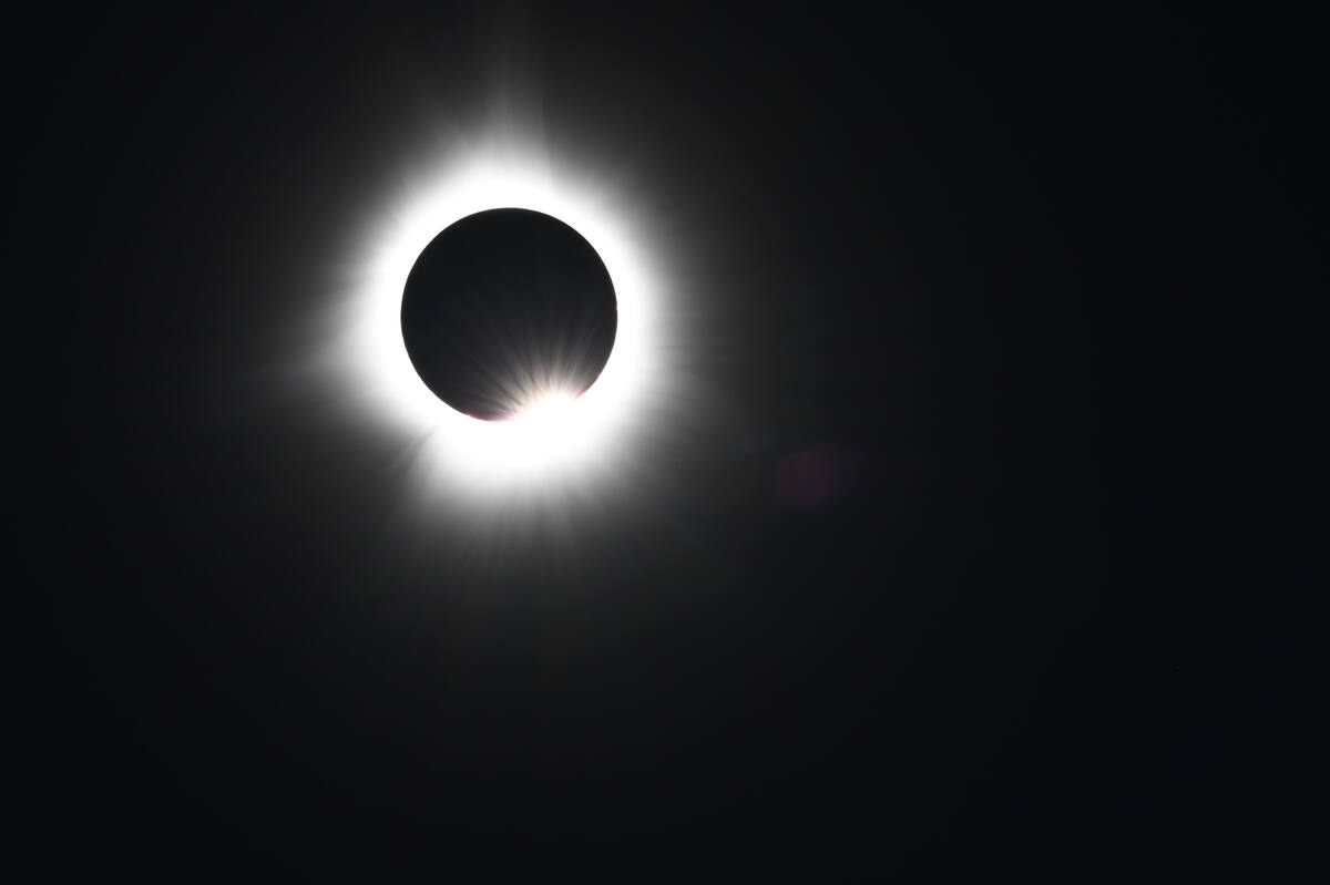 L'éclipse solaire émerveille au Québec | TVA Nouvelles
