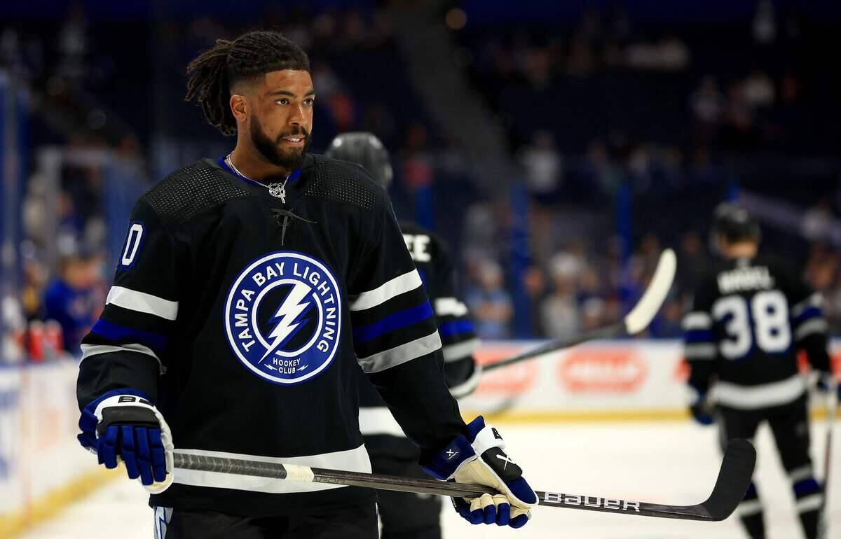 Ouverture du marché des joueurs autonomes: Anthony Duclair retrouve ...
