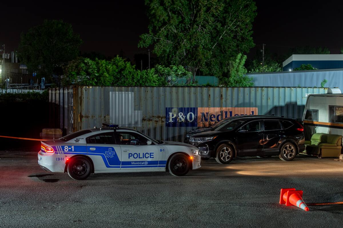 Vols de voitures: quels véhicules sont les plus prisés? | TVA Nouvelles